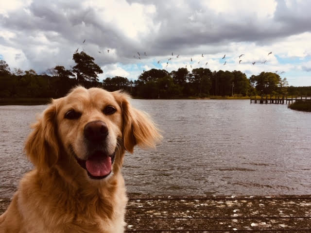 About Dr. Swisher | Thomas K. Swisher, J.D., Ph.D. (443) 996-6659